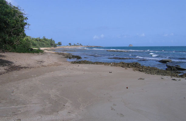 location gite sur la cote sous le vent en Guadeloupe près de Malendure